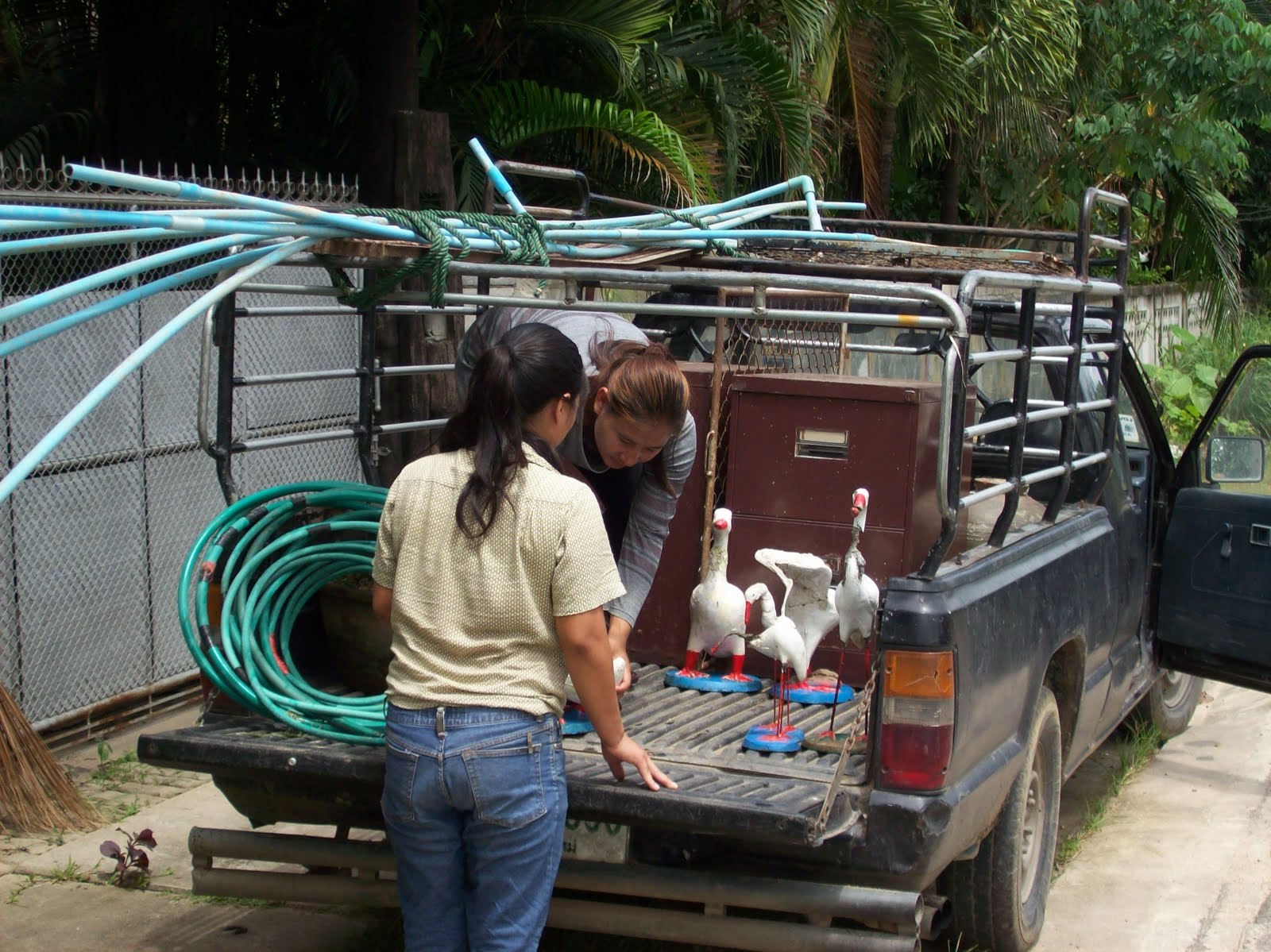 One Voice for Animals: Moving Sanctuary- 50 animals need new homes built.