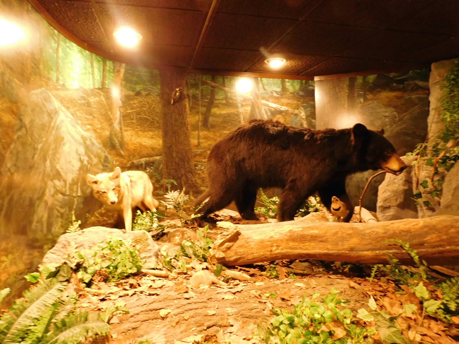 100 Days of Science #23--Springfield Science Museum