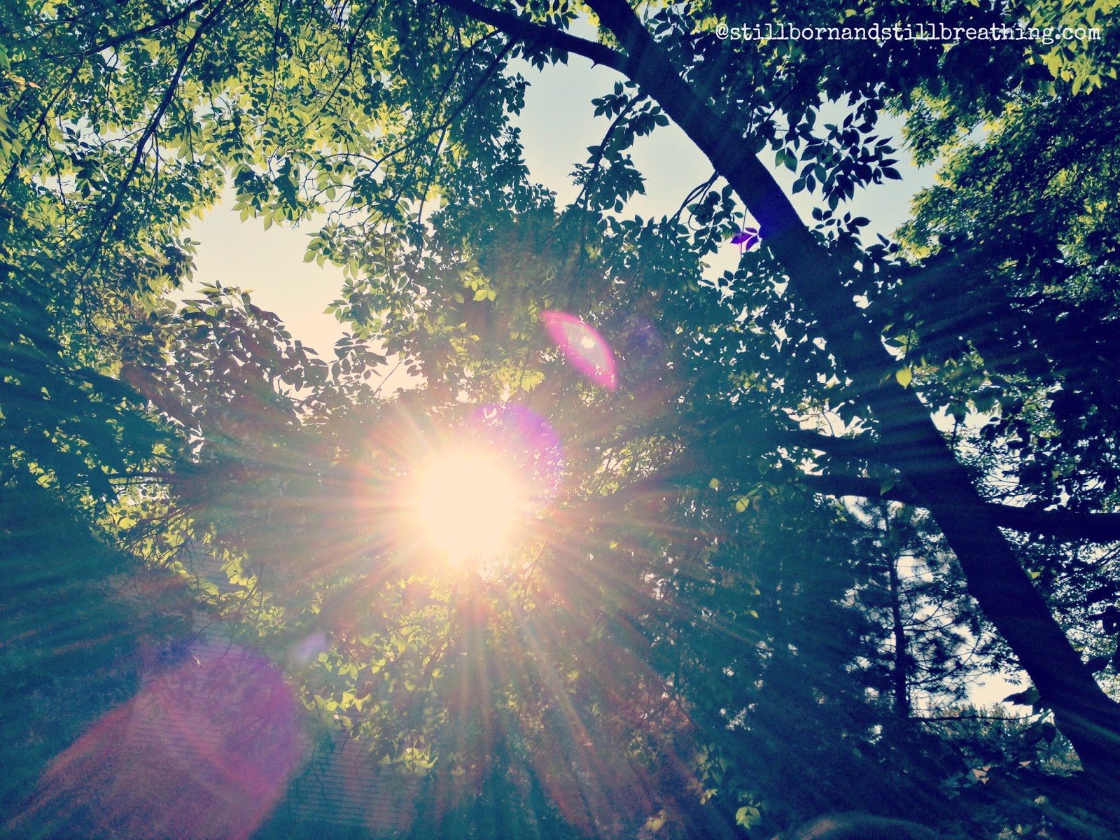 Stillborn and Still Breathing: Grief Project - 7 Everyday Small Things ...