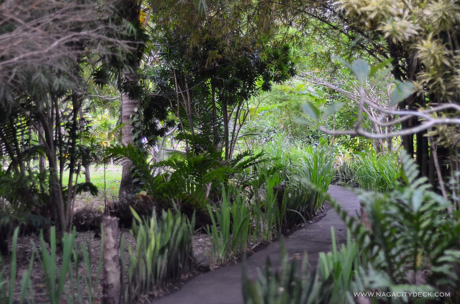 Baao Burda Initiatives at La Huerta de Rosario in Baao, Camarines Sur ...