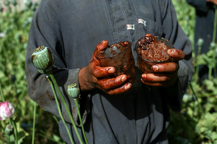 Deformutilation: Harvesting opium