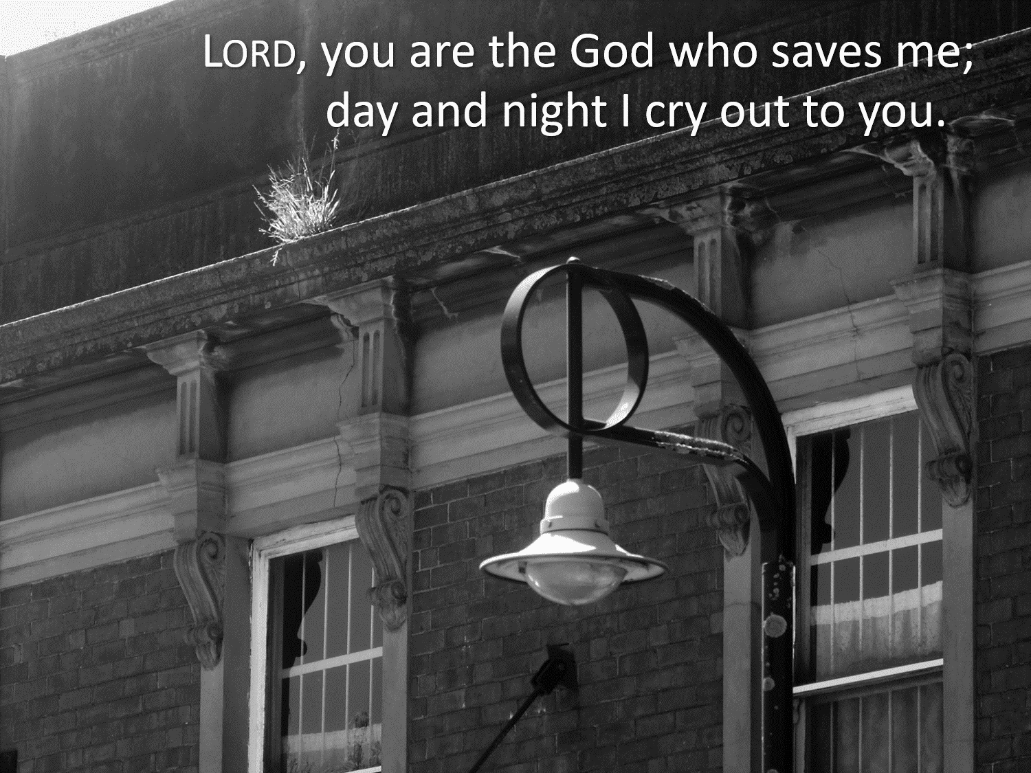 HOW IN THE WORLD!!: Honesty to God in the midst of dispair: reflections ...