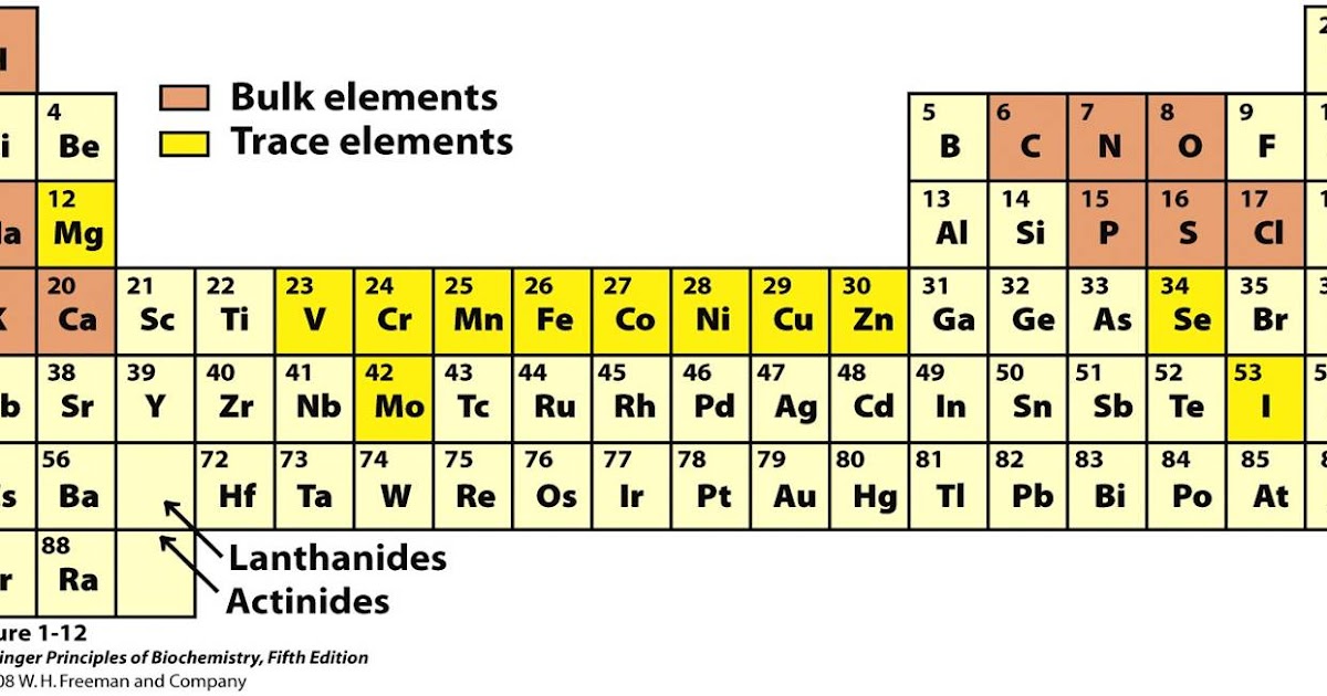 Introduction to Biochemistry, Page 4 - Your Learning Point