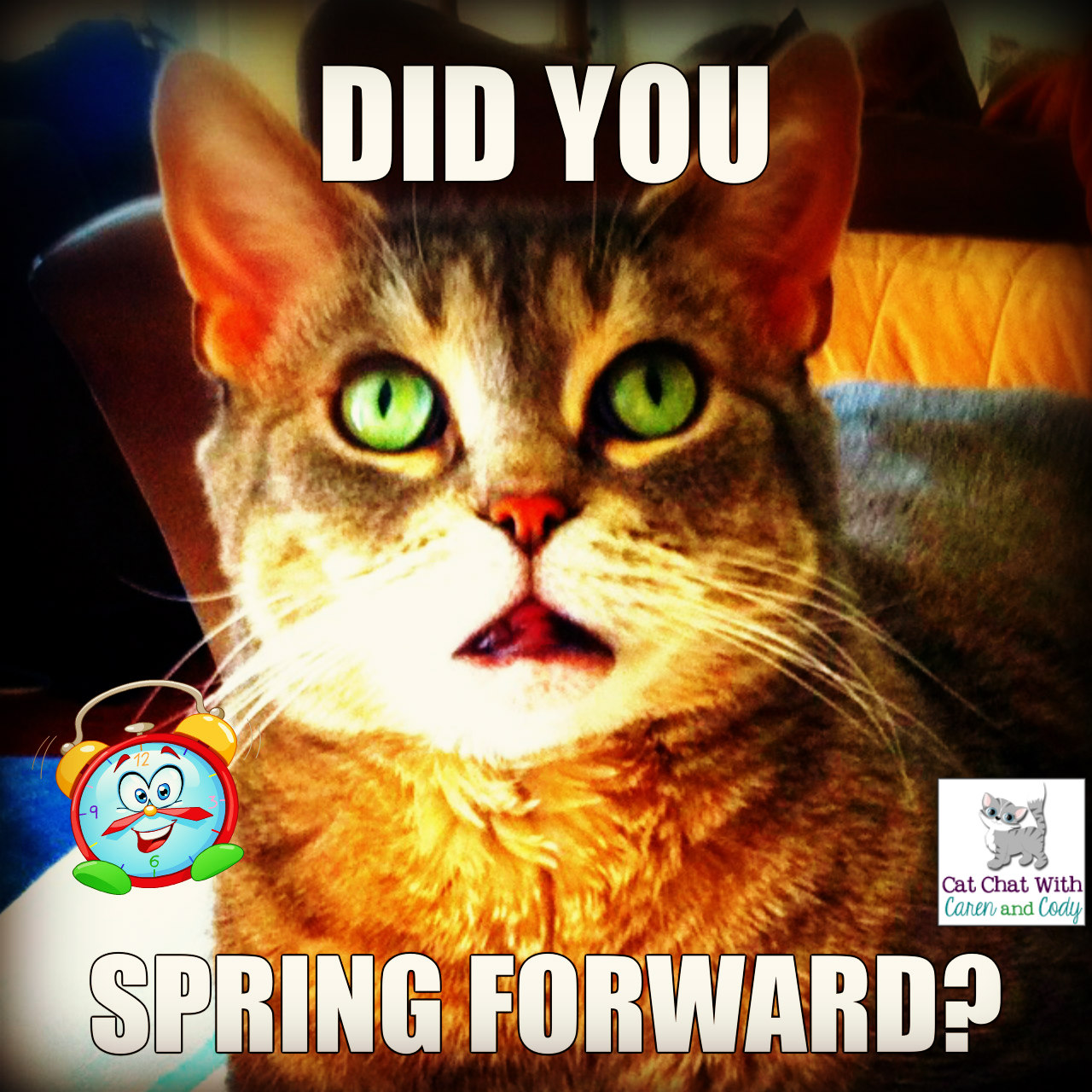 Cat and DOG Chat With Caren: So, Who's Tired Today?