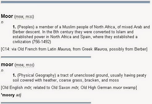 Sol de Echesortu: I never saw a Moor (Emily Dickinson)