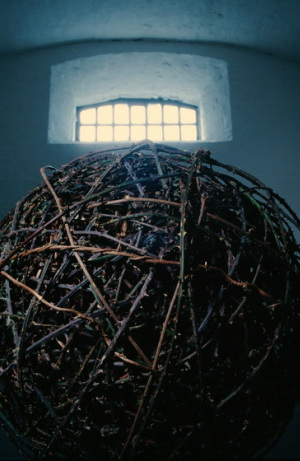 The In-Between: Alice Maher