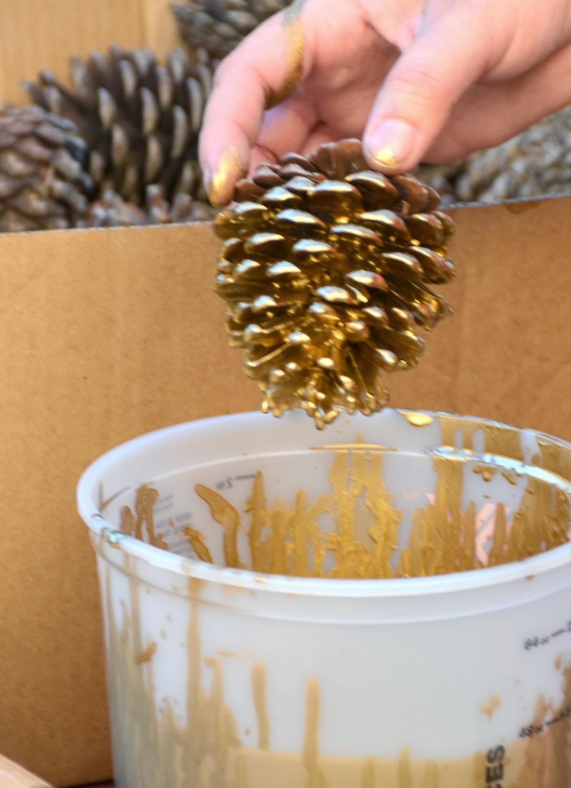 All You Need Is Love.... and Paint: Painting Pine Cones