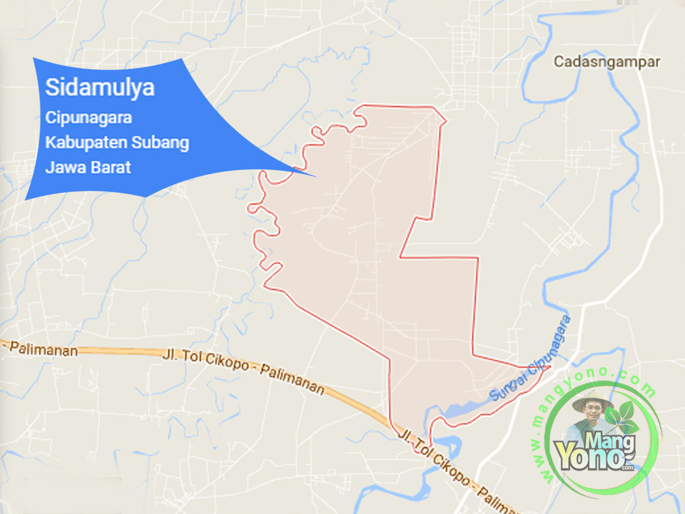 Desa Sidamulya, Kecamatan Cipunagara