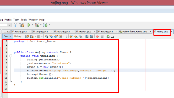 Contoh Pemrograman Enkapsulasi Inheritance Polimorfisme Pada Java