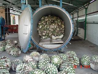 Mezcal de Zacatecas: Regiones productoras y proceso de producción del ...
