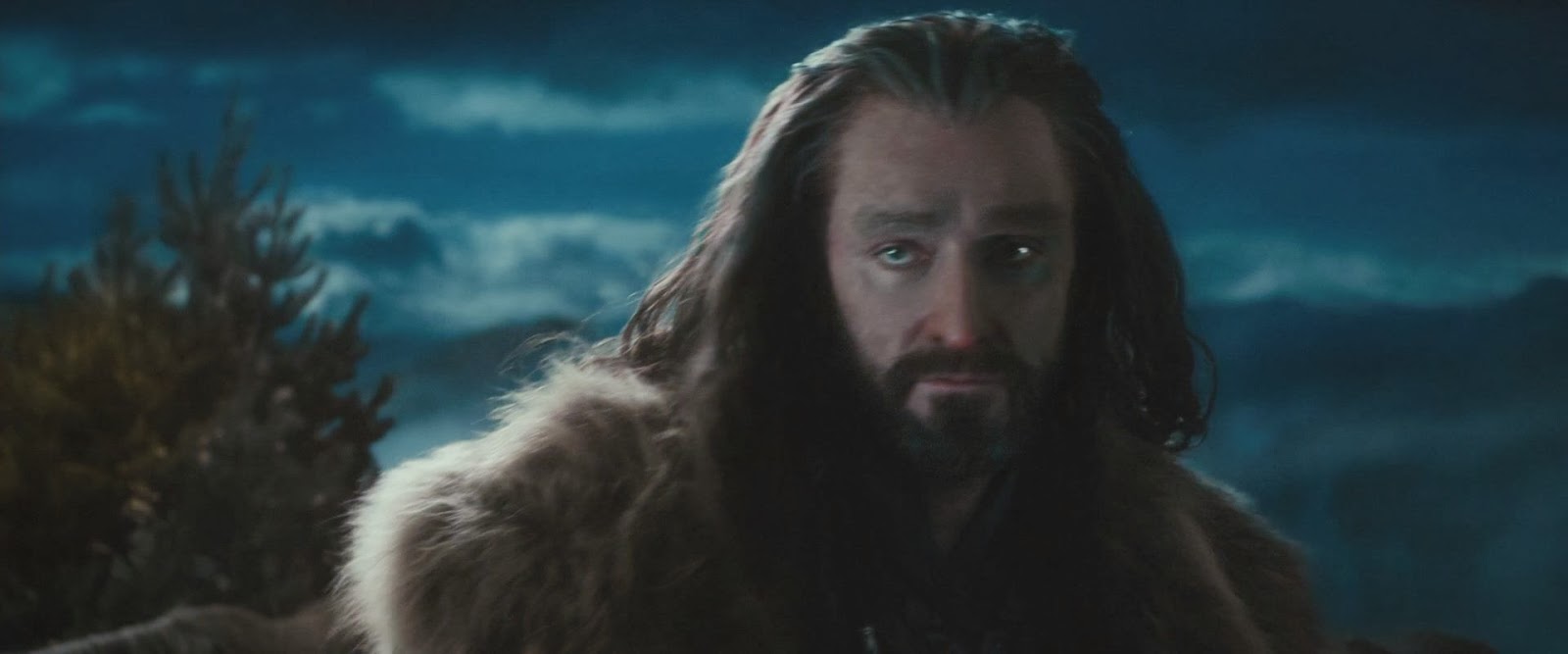 White Rose: Sincere and Simple Thoughts: Thorin Revisited in Pictures ...