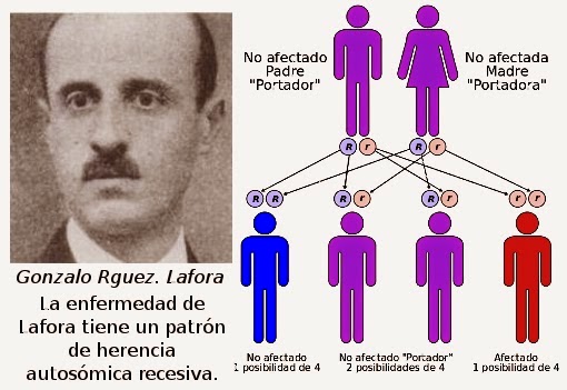Ciencia Al Dia