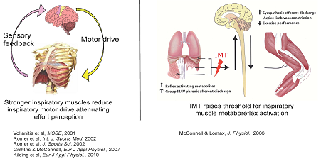 Inspiratory Muscle Training, HIIT or RT for Your Kids? Cold Water ...
