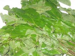 Alternative health tips, healthy lifestyle choices: Health Benefits of ...