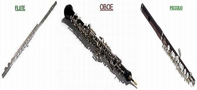 What are Western Musical Instruments