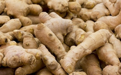 Mengenal Jenis jenis Jahe dan Manfaat Jahe - GEMA PERTANIAN