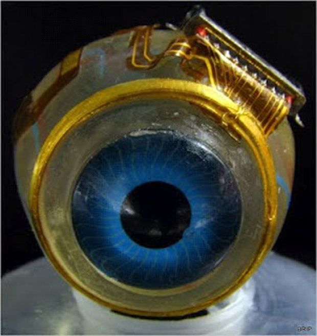 Biotechnology: miracle for blinds.......Bionic Eye