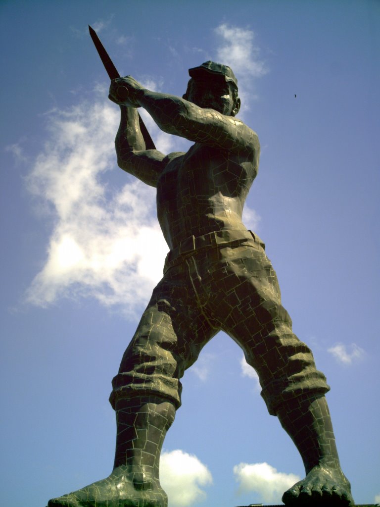 OLHANDO DA JANELA DO TREM: MURIAÉ / MINAS GERAIS / BRAZIL (3.223 / 5. ...