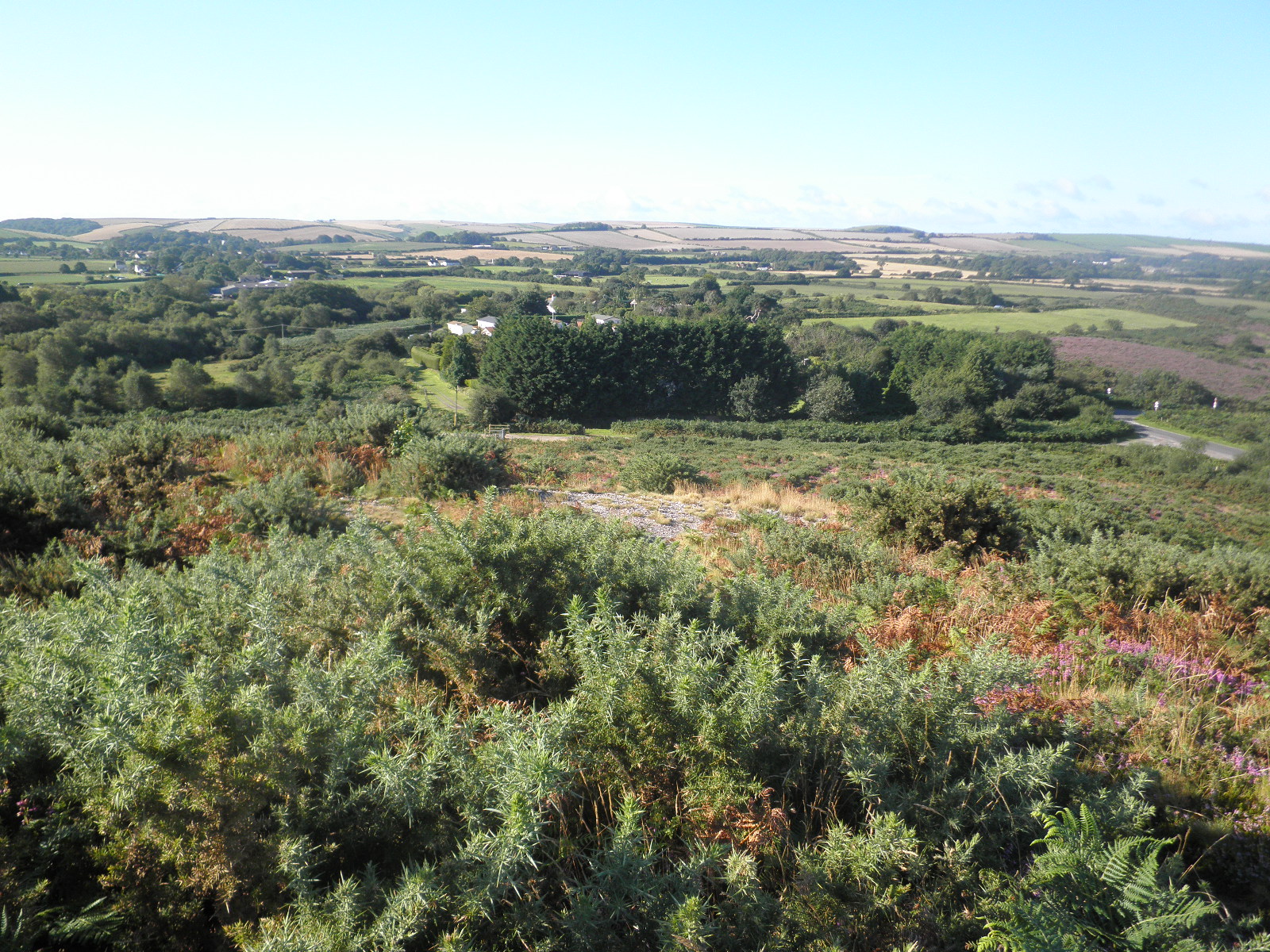 Out Of The Blue: Hardy and Egdon Heath