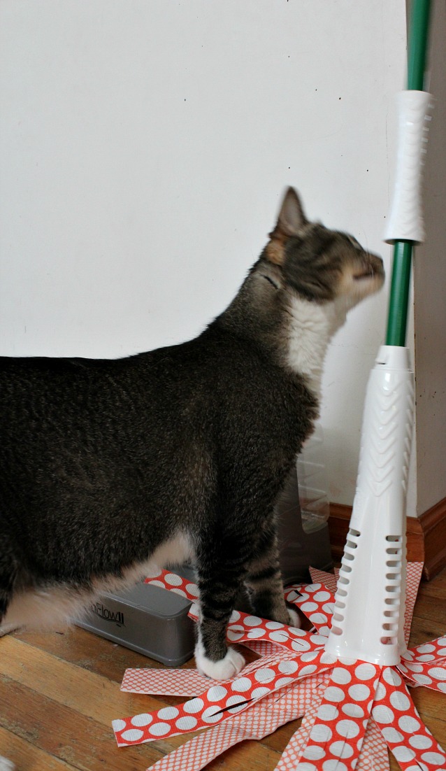 4 Ways To Manage Pet Odors | Pieces of a Mom