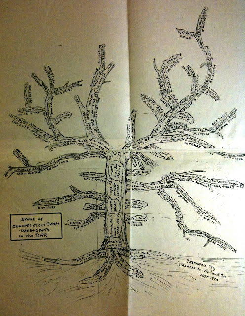 Family History Research by Jody Lutter: Family Tree