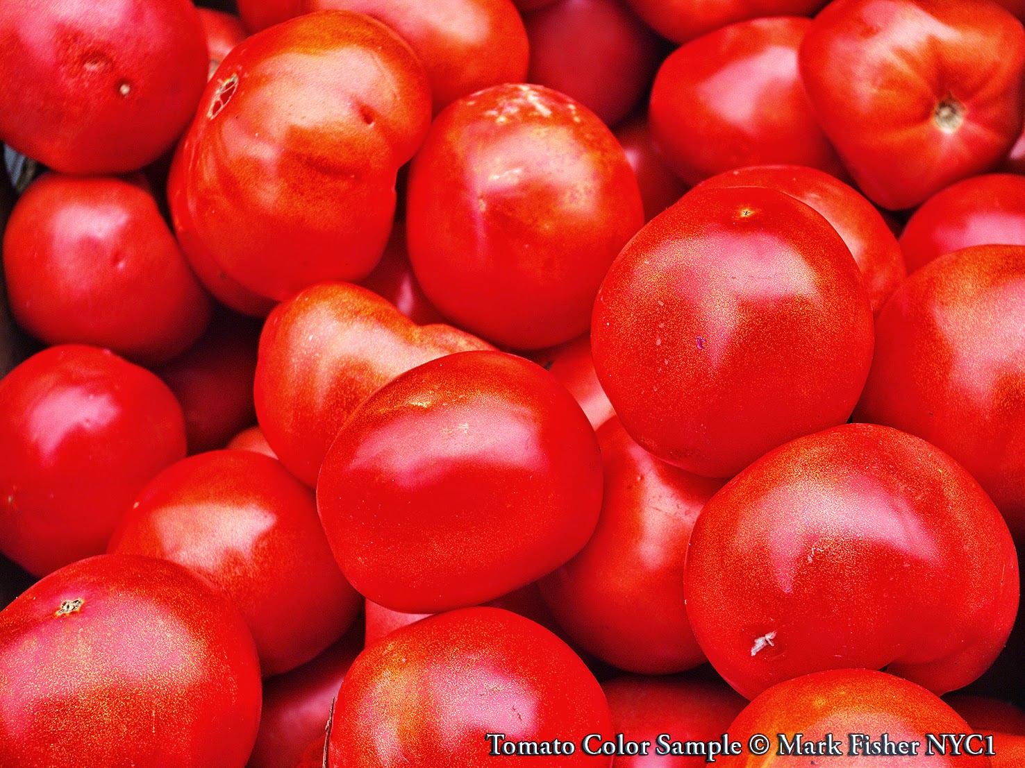 Mark Fisher American Photographer™: Tomato Color Sample • American ...