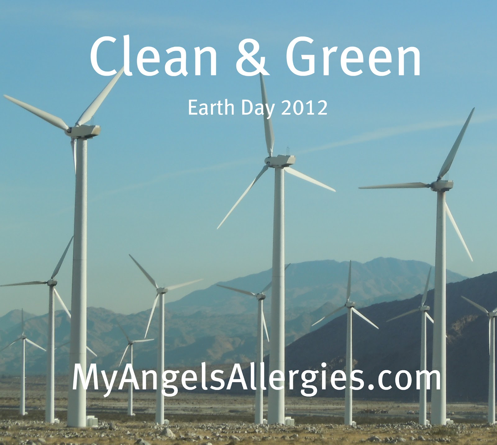 Clean & Green: The Earth Plan ~ My Angel's Allergies