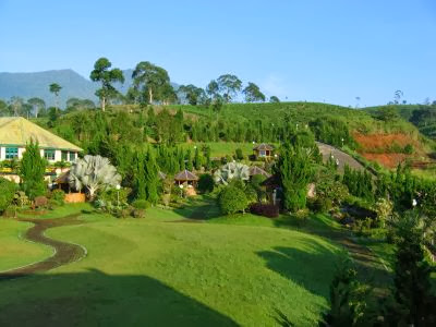 SELEÇÃO DOS MELHORES ESTUDOS BIBLICOS: O orvalho do Hermon - Salmo 133