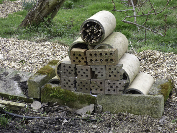 Our Plot at Green Lane Allotments: Bug hotel or more accurately bug ...