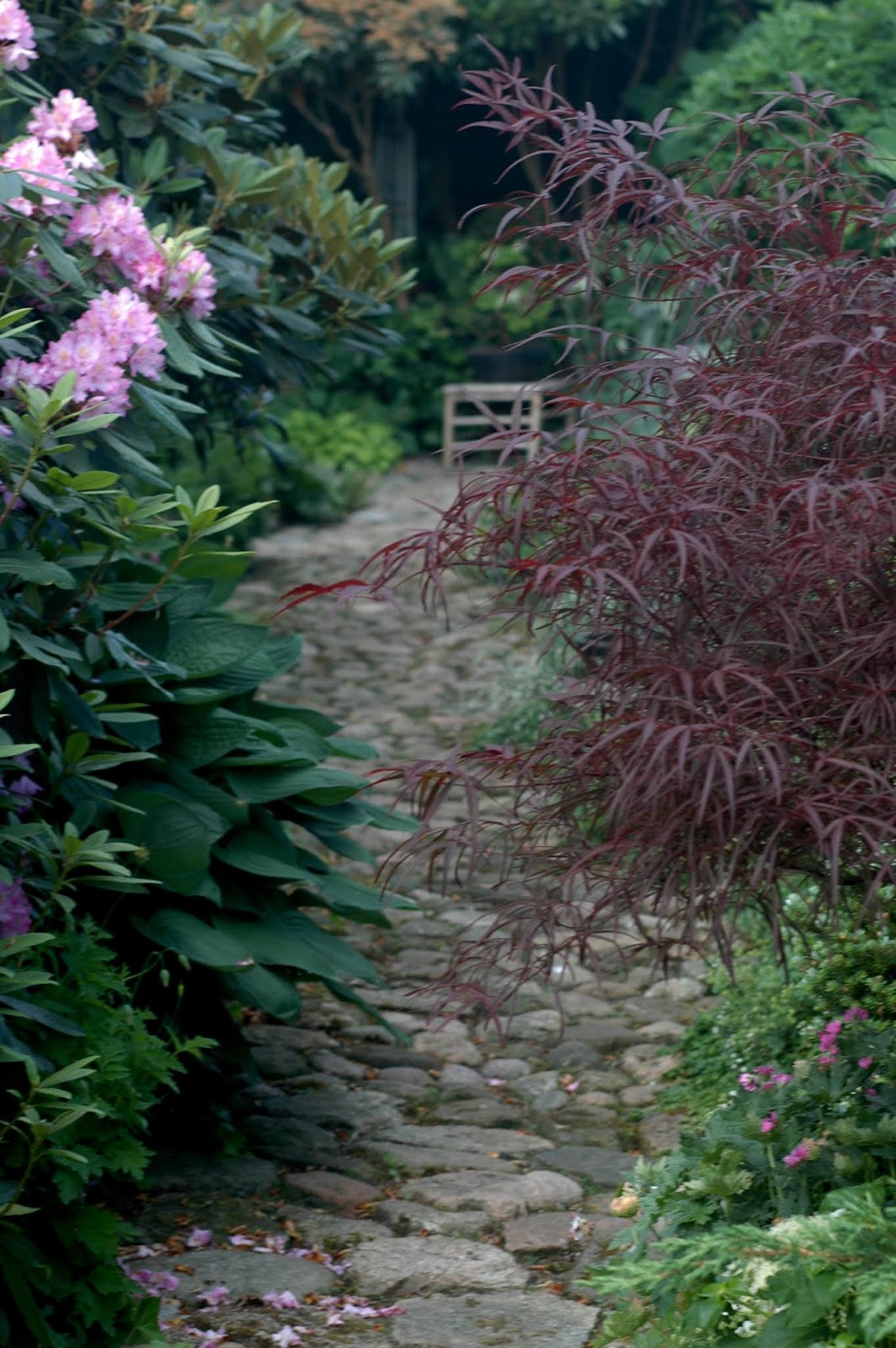 HAVETID: Havens sten og planter.