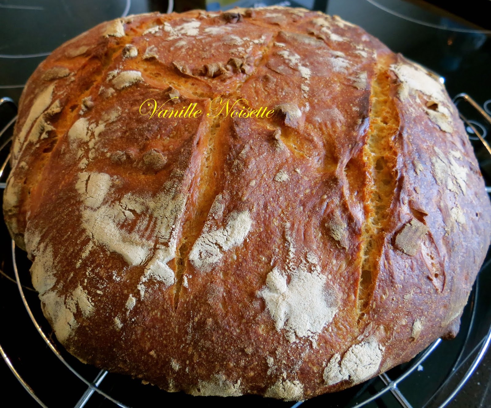 Vanille Noisette : PAIN BOULE