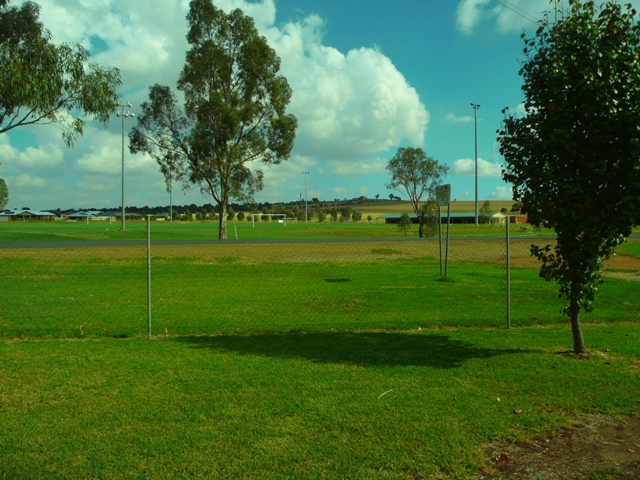 MobileMarshies: THE JOYS OF JUNEE (CARAVAN PARK) AND THE WARBIRDS OF ...