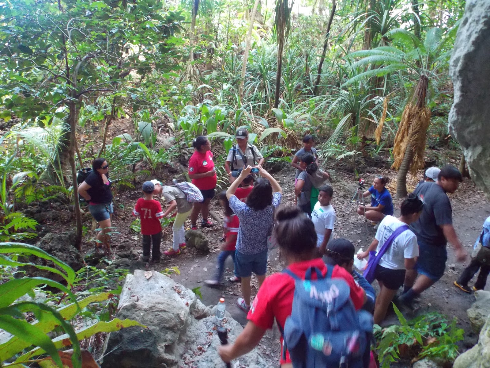 Faces of Nature: A Year of Twenty at Guam National Wildlife Refuge