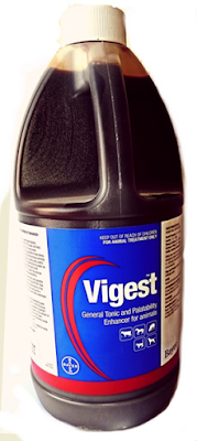 مؤسسة التكامل الوطنية للزراعة والتجارة: ڤايجست VIGEST