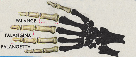 LASCIAMI LEGGERE: PREMIO ONE LOVELY BLOG