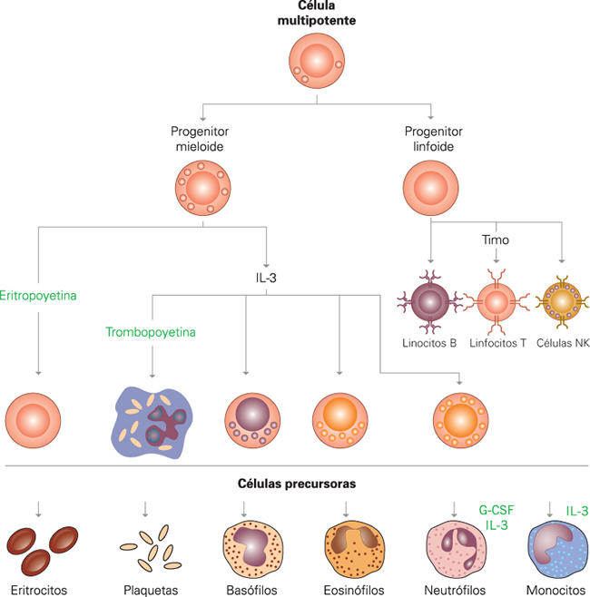 febrero 2013 ~ Laboratorio 4b cbtis7