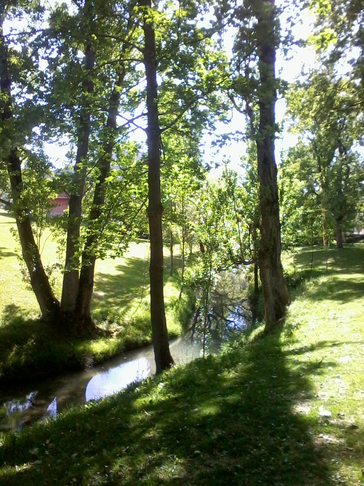 Navarra es mucho más: PASEO POR EL RIO AL REVES