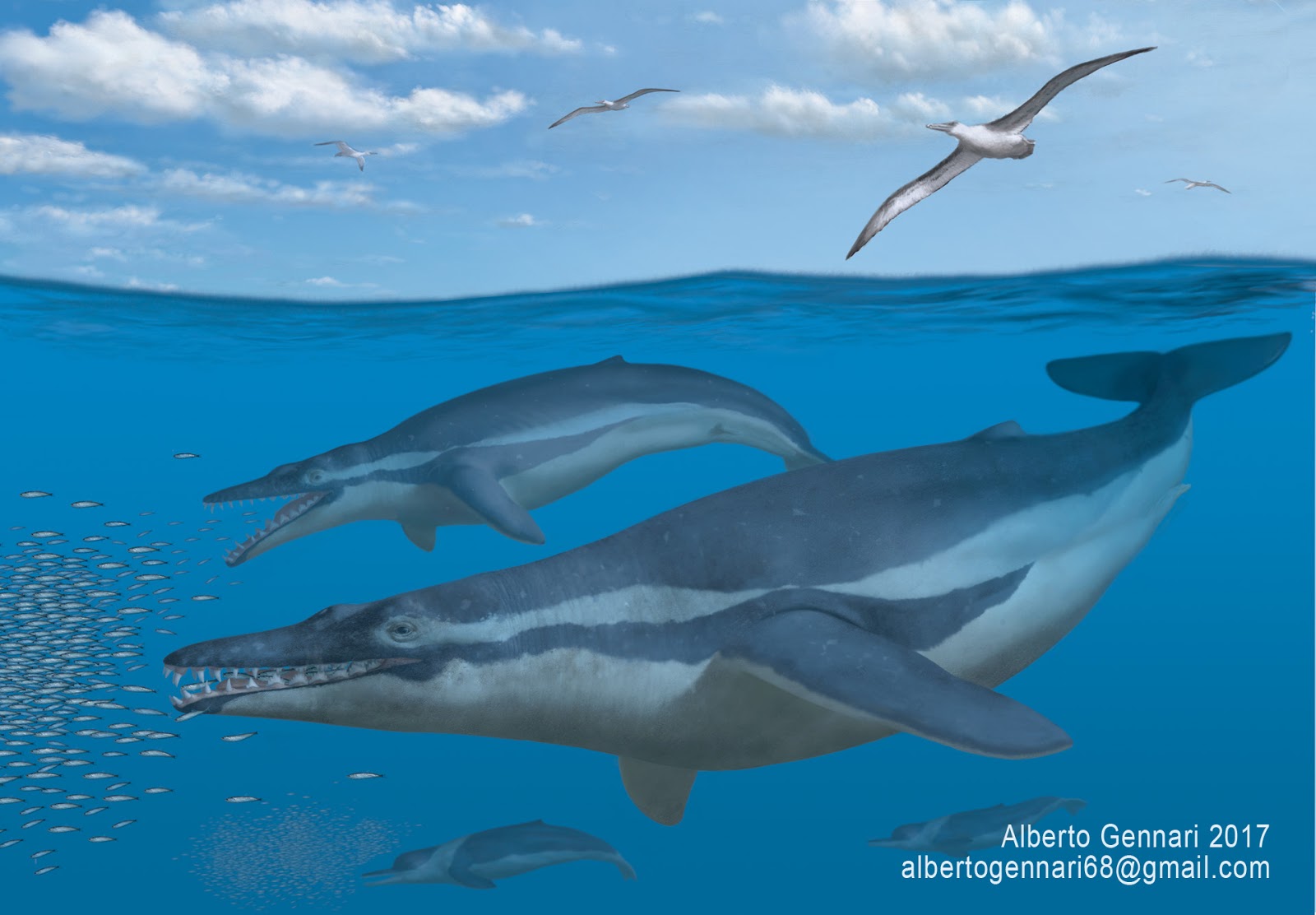 The art of Alberto Gennari: Educational and scientific illustrations