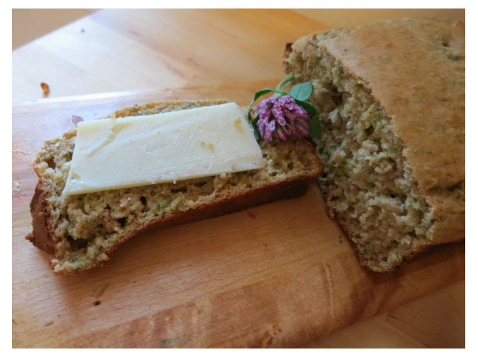 The Foraged Foodie: Savory, Fat-Free (Almost!), Foraged Clover Bread Recipe