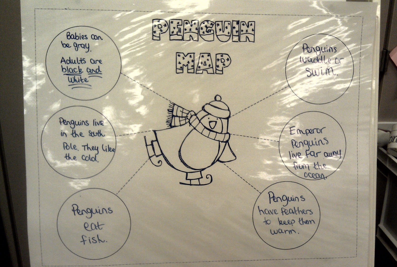 The Very Book Hungry Teacher