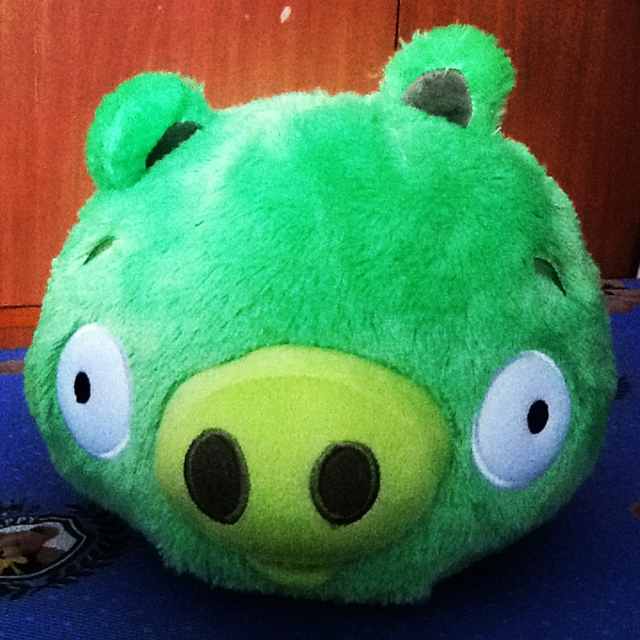 Piggy Land | Singapore Lifestyle Blog : My Favourite Green Pig