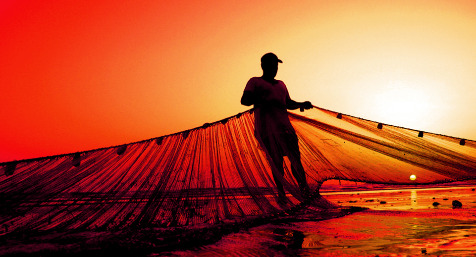 Ame a Bíblia: A PARÁBOLA DA REDE