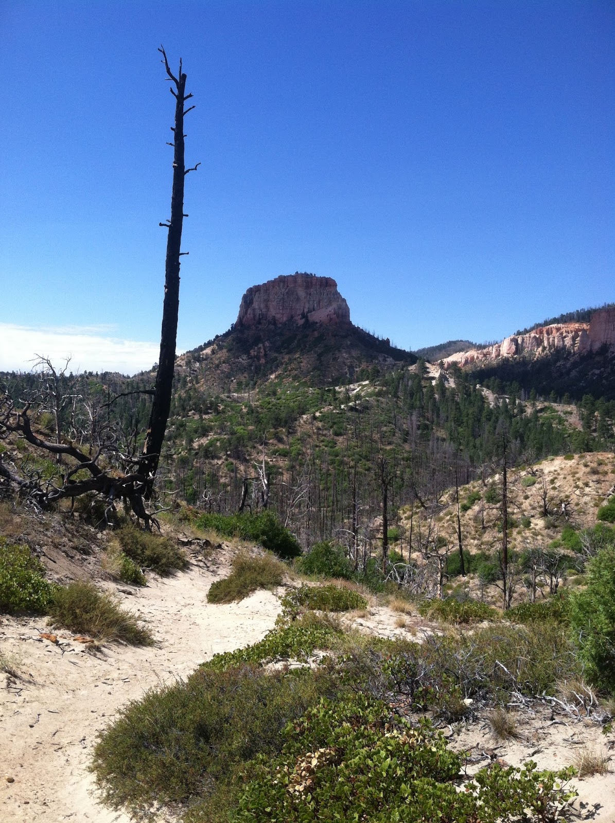Myatt's Hikes: Sheep Creek and Swamp Canyon Connector Trail Loop, Bryce ...