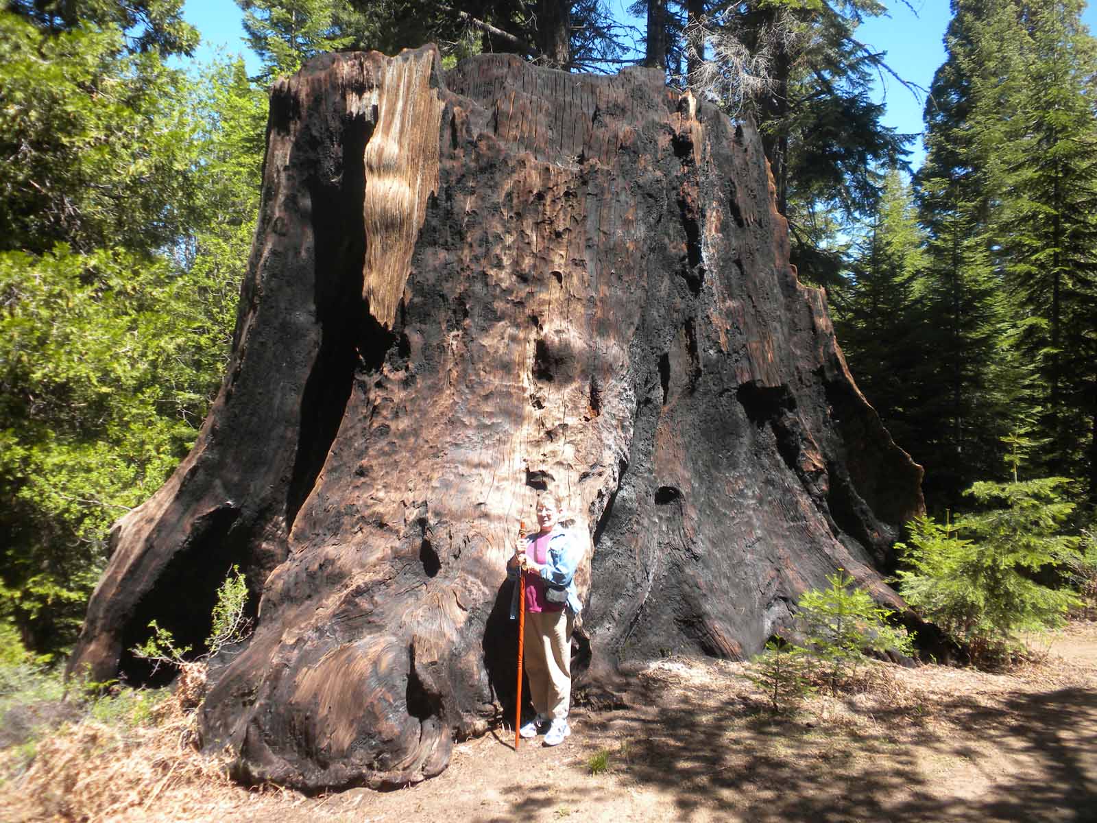 grumble's travel blog: June 12, Oroville, CA.