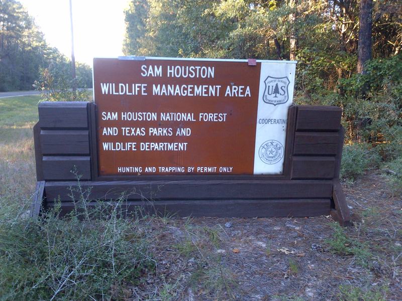 NationalForestHunter: Hunting the Sam Houston National Forest - 1998 ...