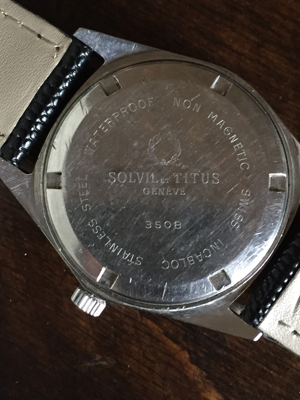 Regin's Realm: Titus vintage watch