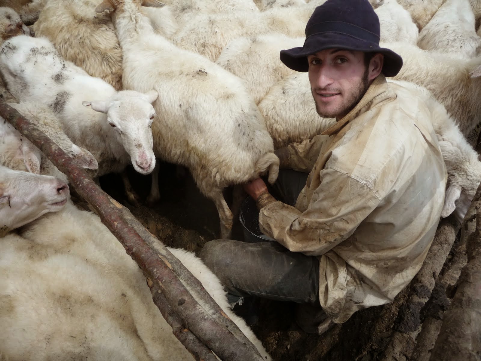 Travels in the Pankisi Valley: Discovering Pankisi. A brief introduction.