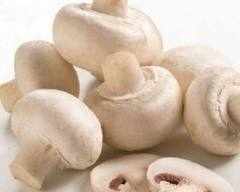 PRODUCCCION DE DERIVADOS FRUHOR EN LA GRANJA SENA CAUCA: LA SALSA DE ...