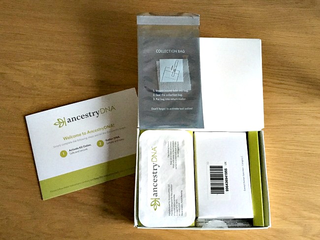 AncestryDNA Test Kit - Should You Buy One? | Teddy Bears And Cardigans