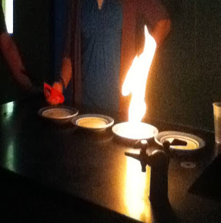 Schneider Science : Flammability Test